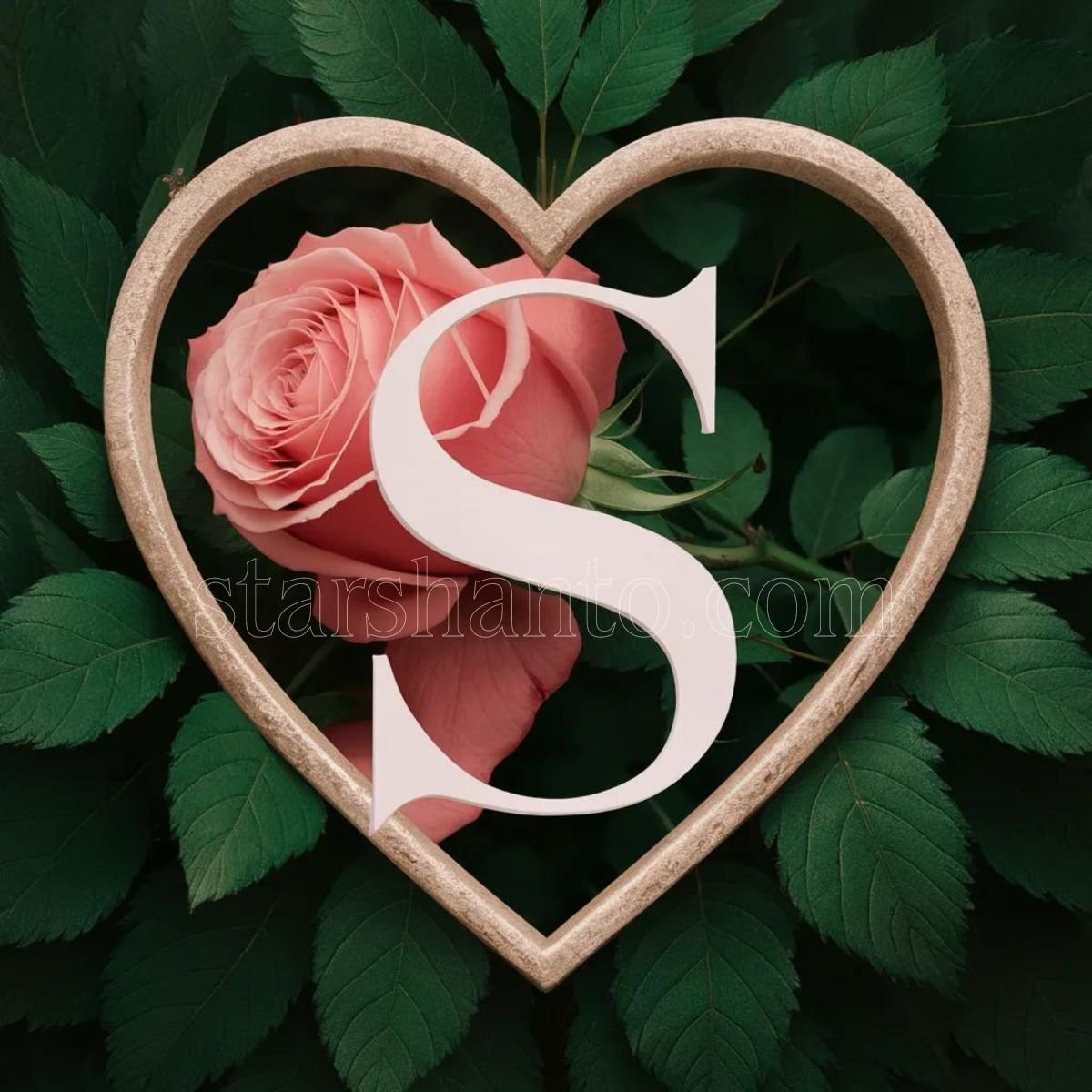 21+ S Pic Love – Images Of Letter S – Love S Photo
